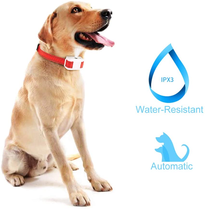Citronella Spray Anti Bark Collar (Rechargeable & Waterproof) All Terr ...
